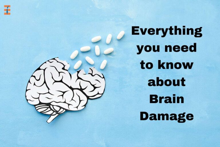 Brain Damage: Causes, Effects, Treatment And Traumatic Brain Injury ...