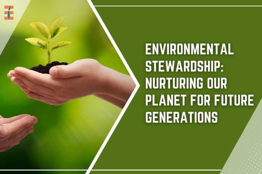 Top 5 Principles Of Environmental Stewardship Future Education Magazine