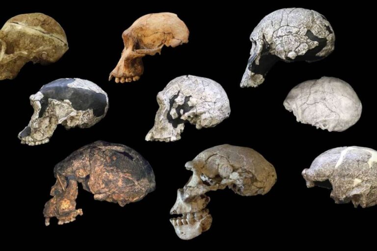 15 Best Motivational Quotes for Medical Students to awaken their ...