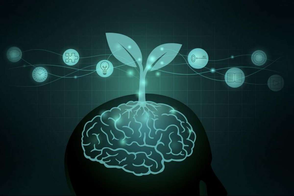 Use these 15 Growth Mindset Examples to Turn Setbacks Into Lessons ...