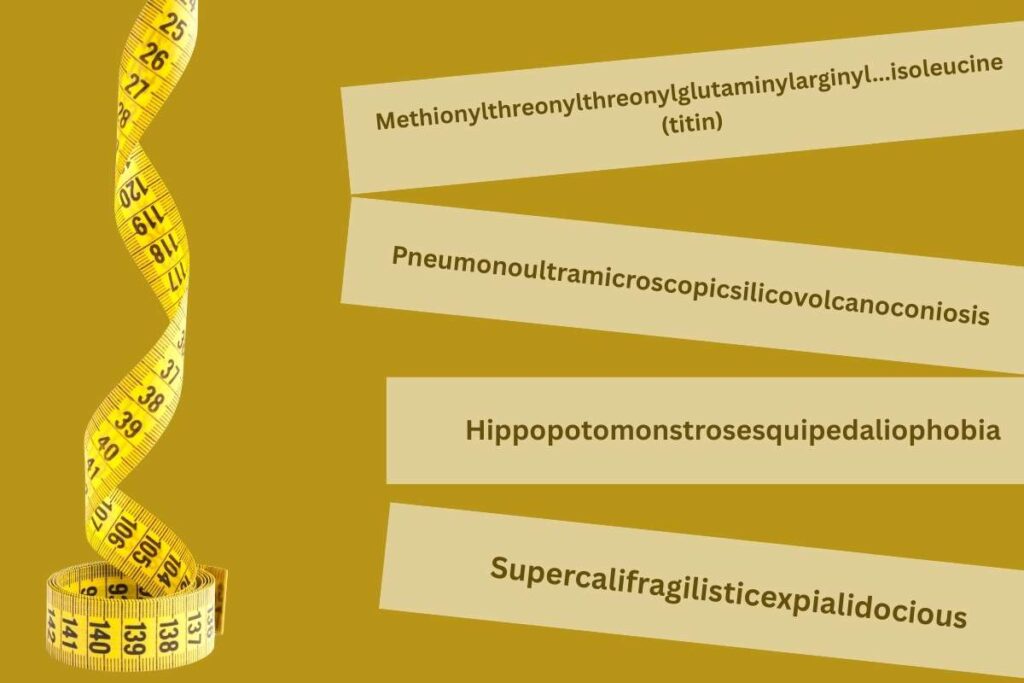 The 25 Longest Words in English That Push Language to Its Limits ...