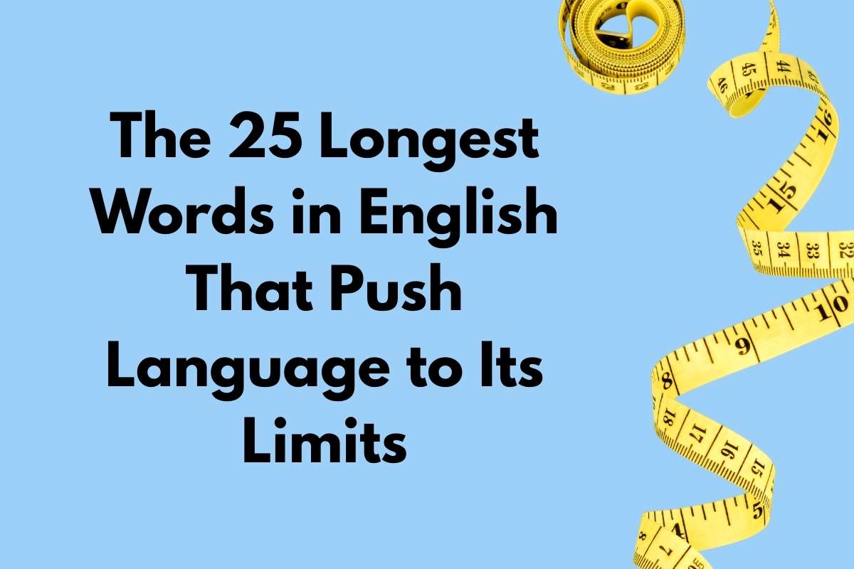 The 25 Longest Words in English That Push Language to Its Limits ...